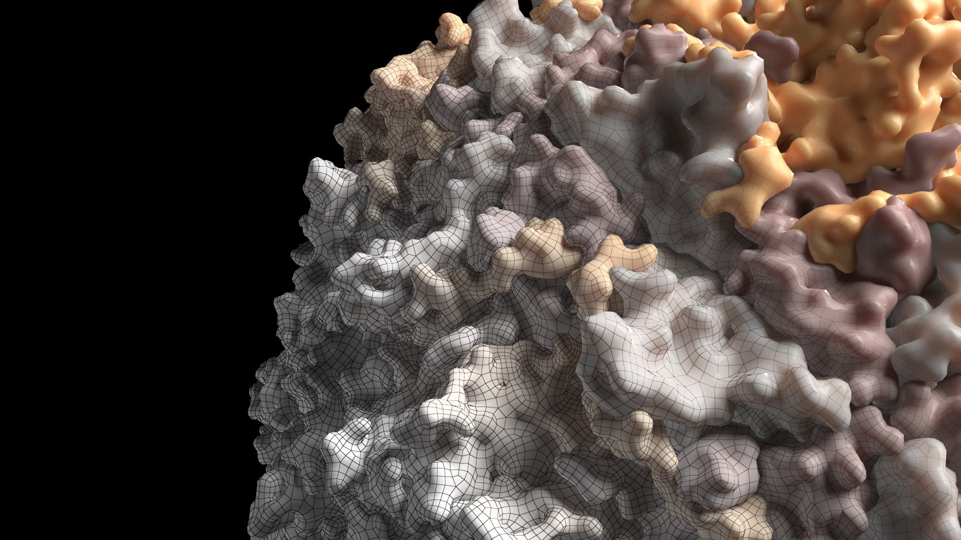 3D Poliovirus Type 1 Mahoney With RNA - TurboSquid 2346110