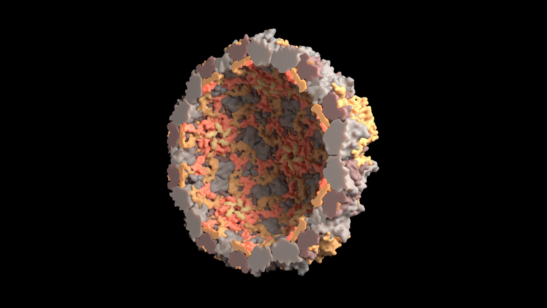 3D Poliovirus Type 1 Mahoney With RNA - TurboSquid 2346110