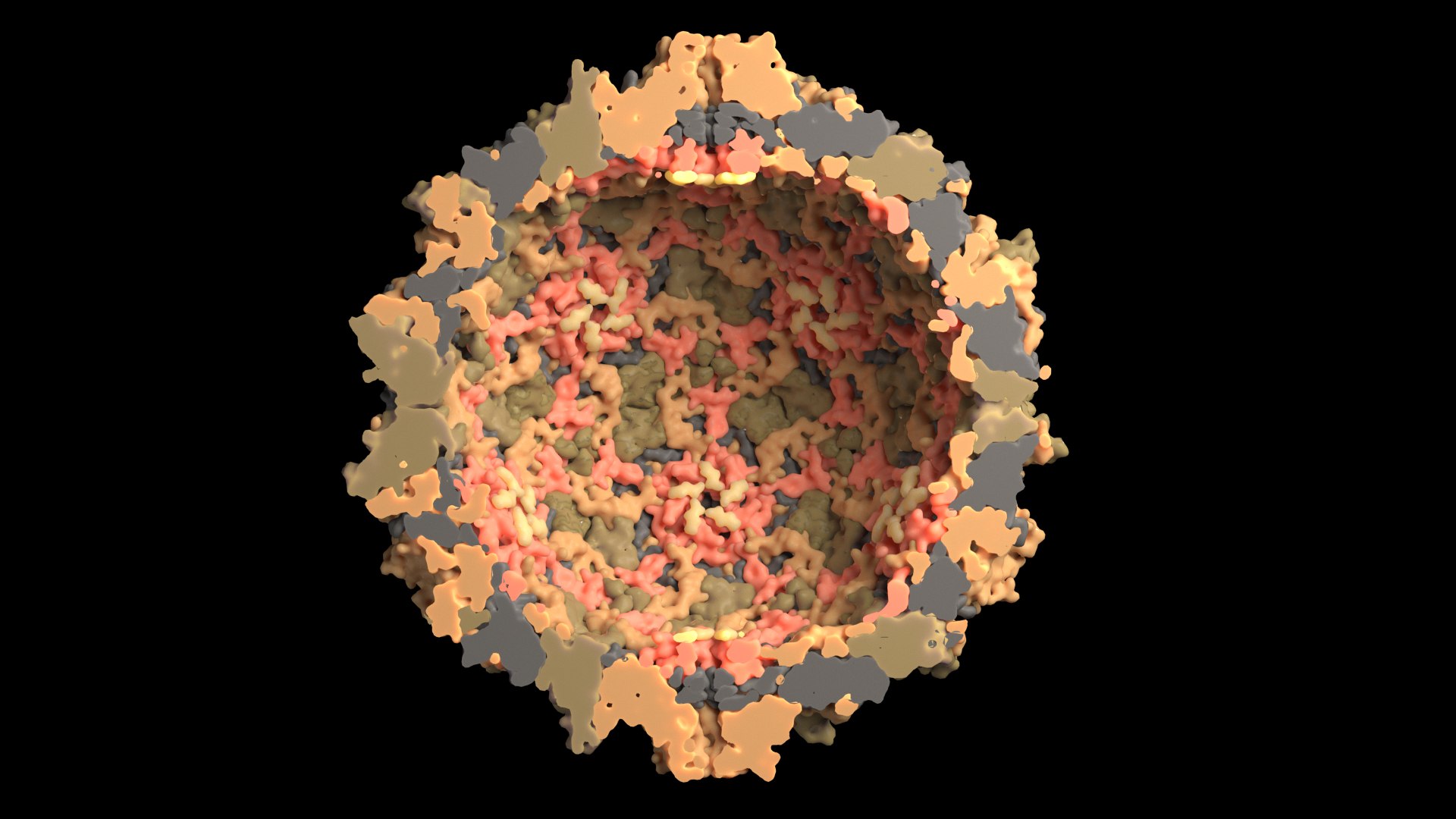 3D Poliovirus Type 1 Mahoney With RNA - TurboSquid 2346110