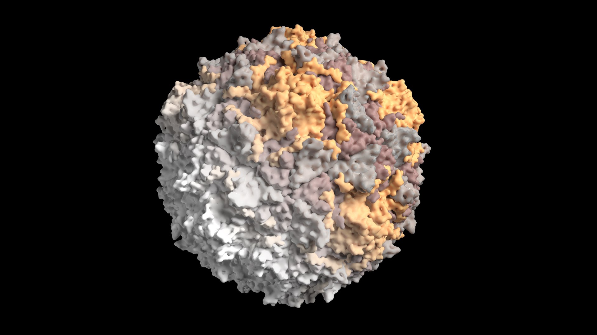 3D Poliovirus Type 1 Mahoney With RNA - TurboSquid 2346110