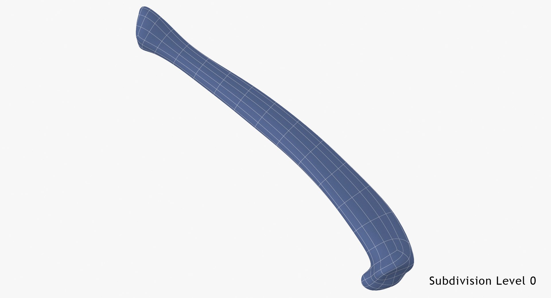 Pavian Monkey Male Tibia 3D - TurboSquid 1573485