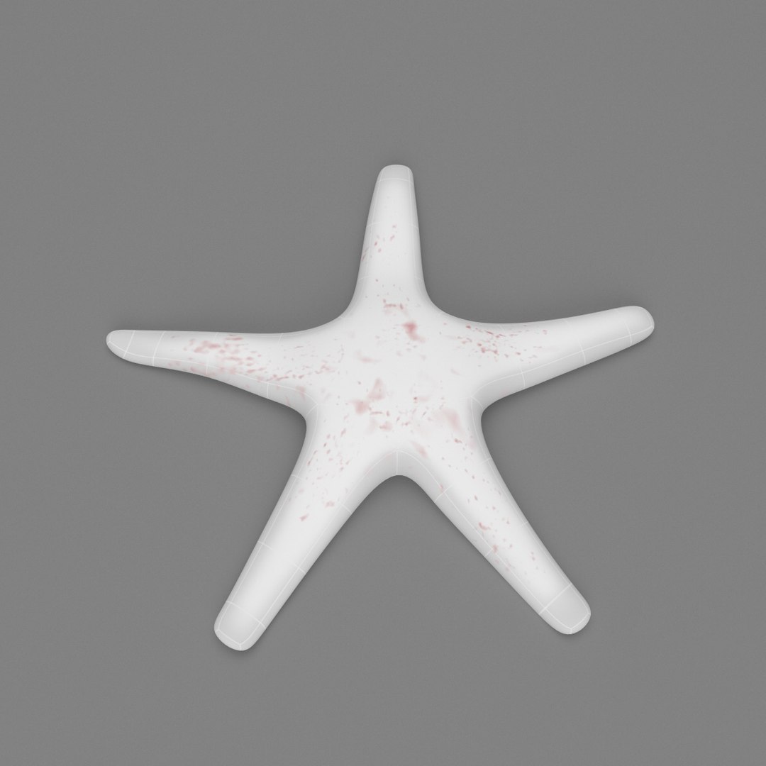 3d star fish starfish model