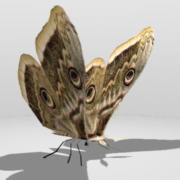 3dsmax moths