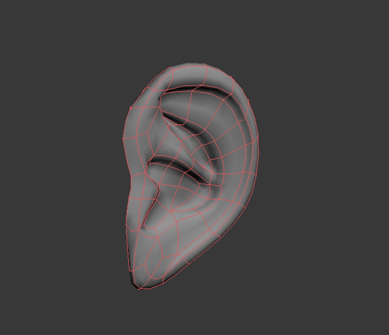 3d model polygonal human ear