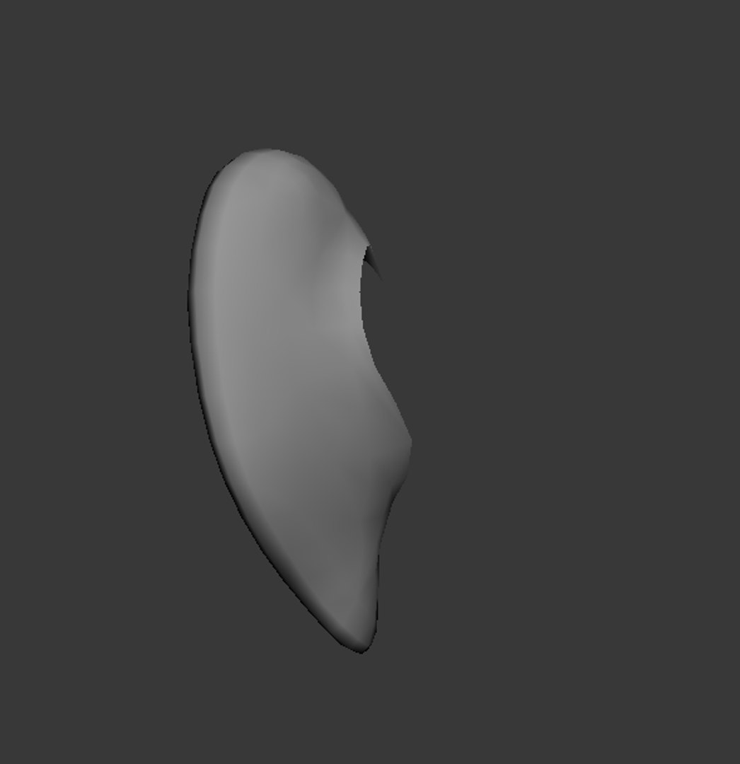 3d model polygonal human ear
