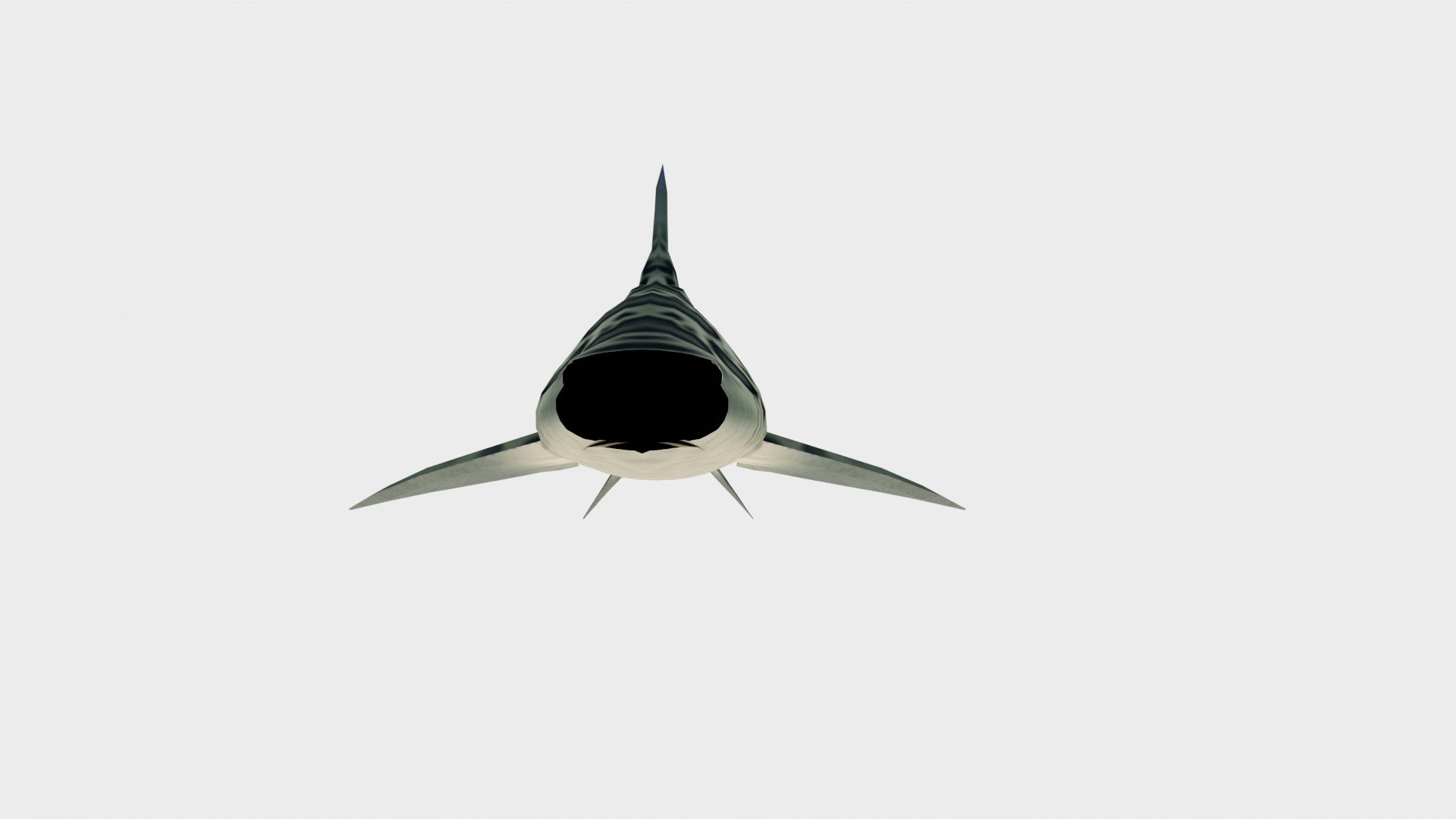 3D Model Leopard Shark Fish 3D Model Low Poly - TurboSquid 2242729