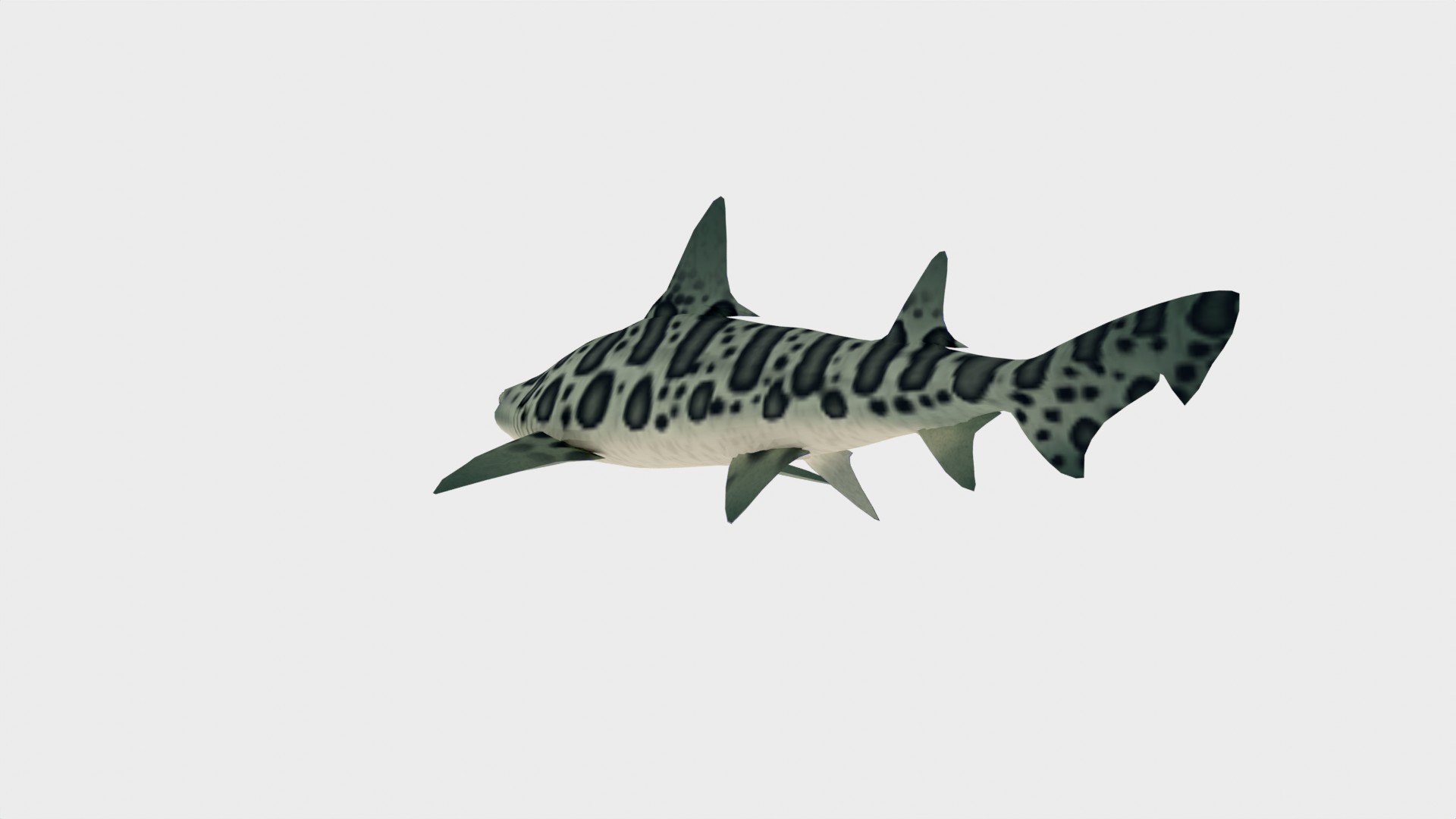3D Model Leopard Shark Fish 3D Model Low Poly - TurboSquid 2242729