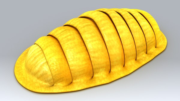 3d model lepidopleurus