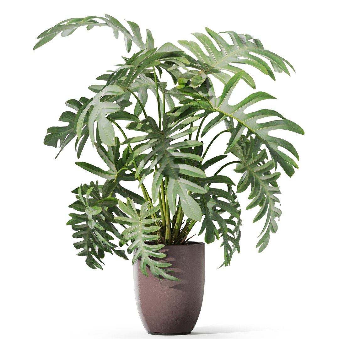 3D Plants Collection 1133 - TurboSquid 2287595