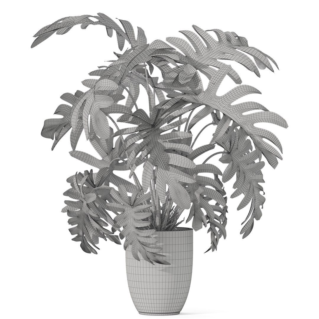 3D Plants Collection 1133 - TurboSquid 2287595
