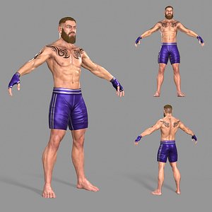 ufc octagon 3d model