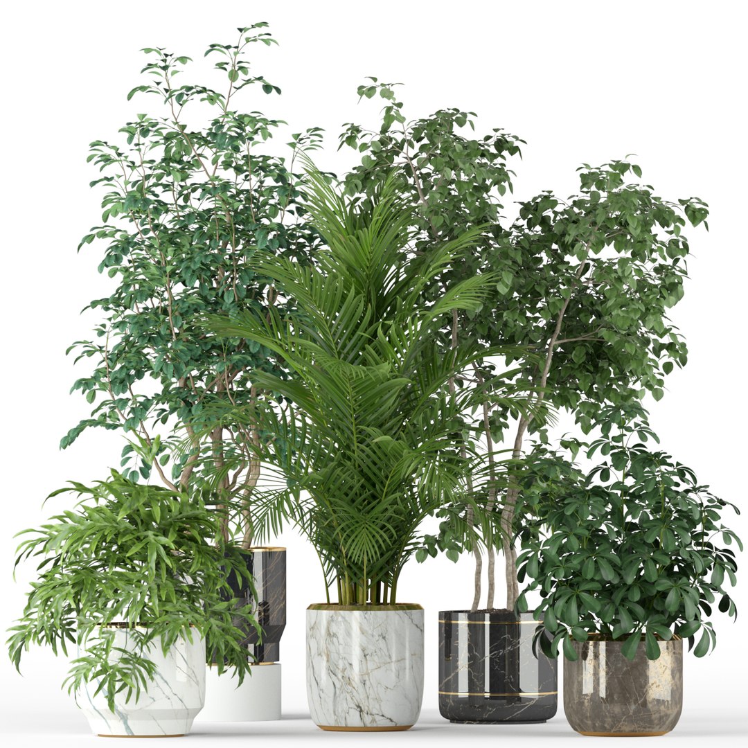 3D Plants 204 - TurboSquid 1470801