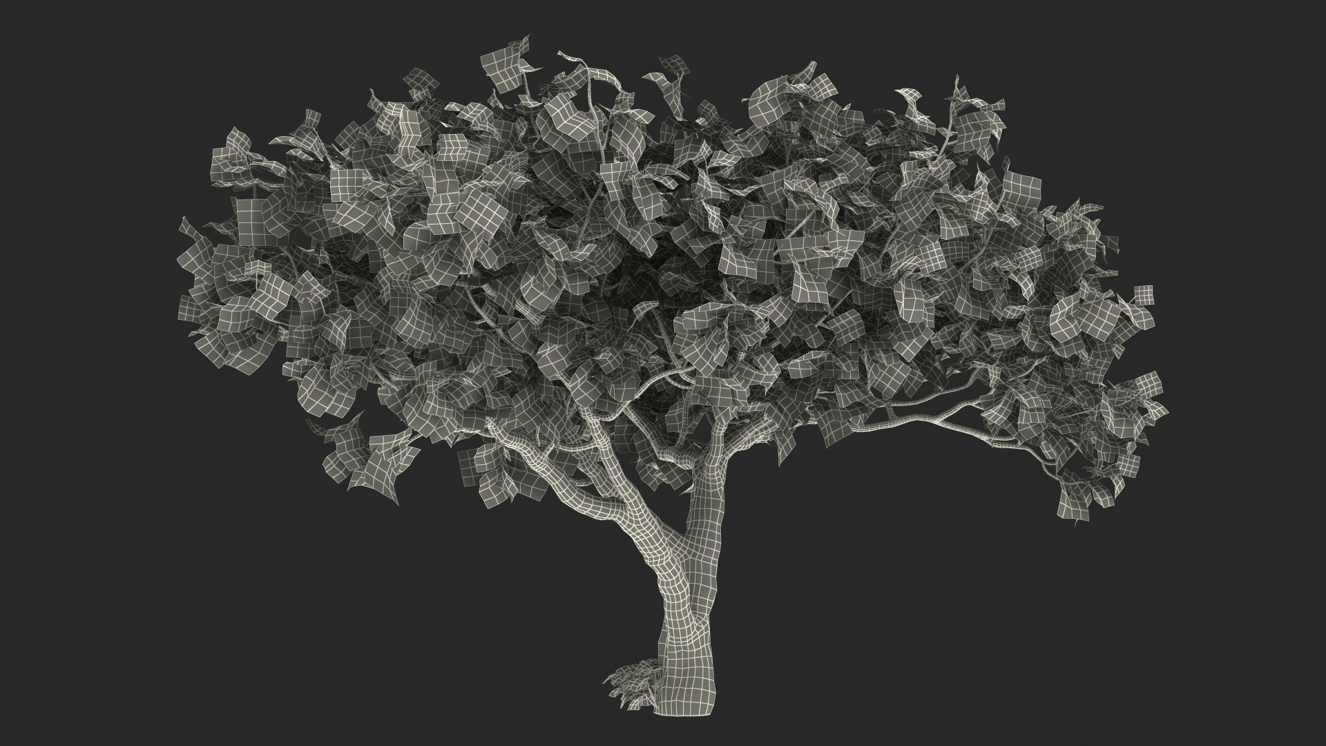 Fig Tree Autumn 3D Model - TurboSquid 1681319