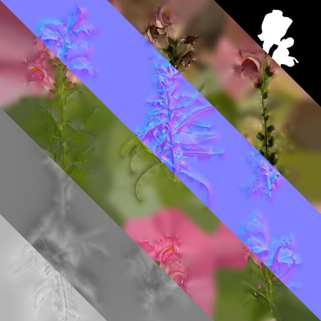 3D Model Anydrafts Antirrhinum Majus Atlas 03 Textures - TurboSquid 2352296