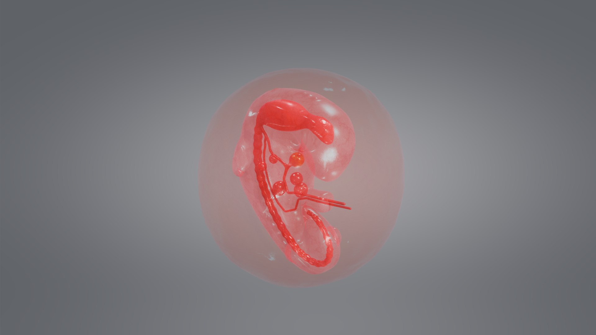 Cycle week 3-1 3D model - TurboSquid 2117626