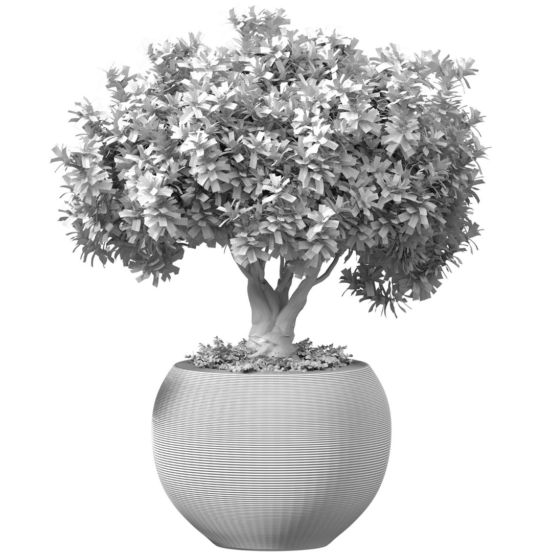 3D Model Decorative Flowering Tree In Modern Vase Urn Pot - TurboSquid ...