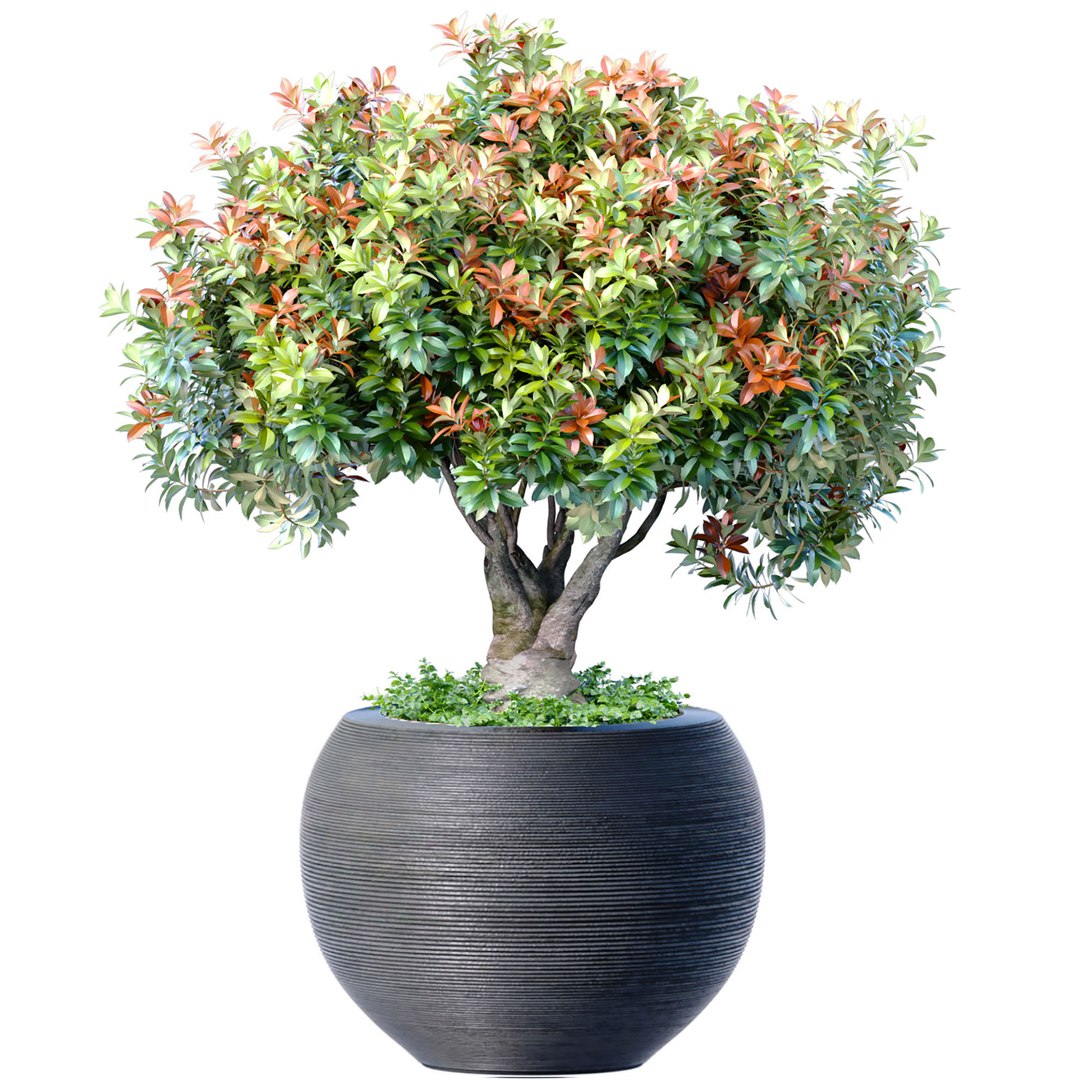 3D Model Decorative Flowering Tree In Modern Vase Urn Pot - TurboSquid ...
