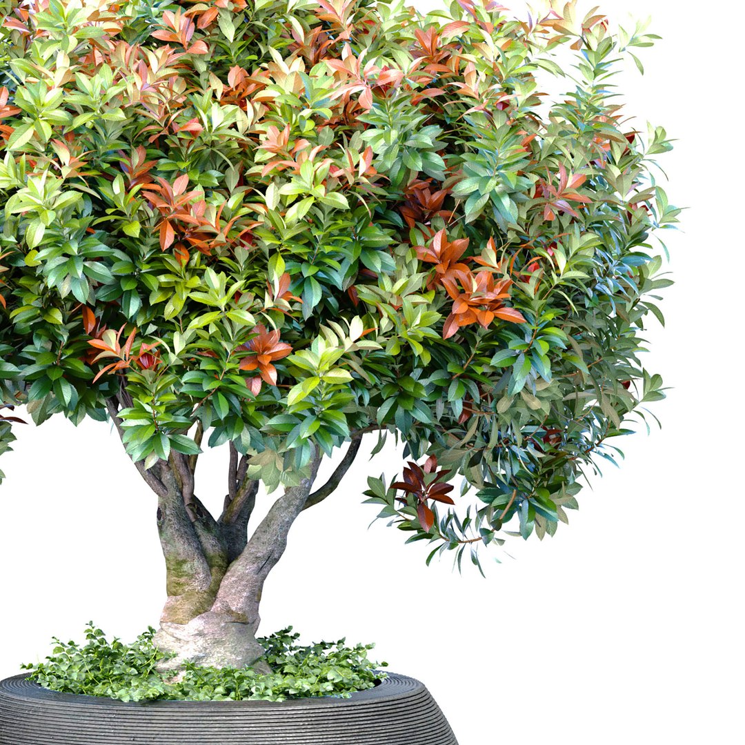 3D Model Decorative Flowering Tree In Modern Vase Urn Pot - TurboSquid ...