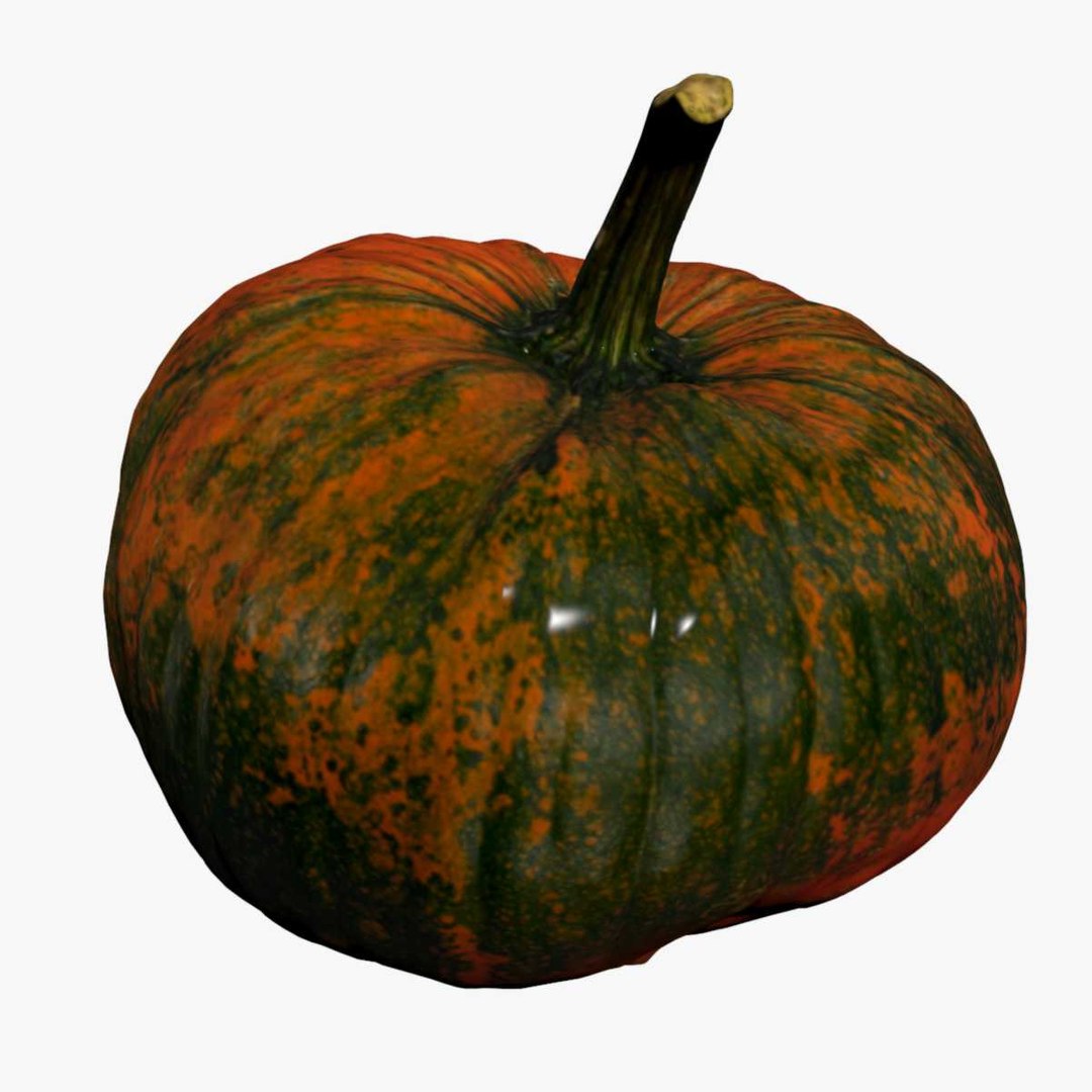 Pumpkin 3D Scan High Quality 3D model - TurboSquid 1749887