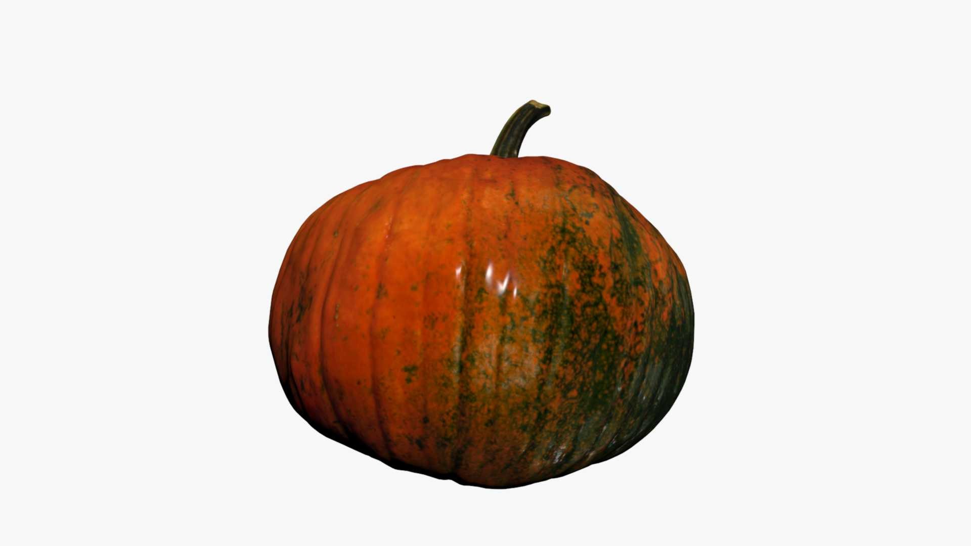 Pumpkin 3D Scan High Quality 3D model - TurboSquid 1749887