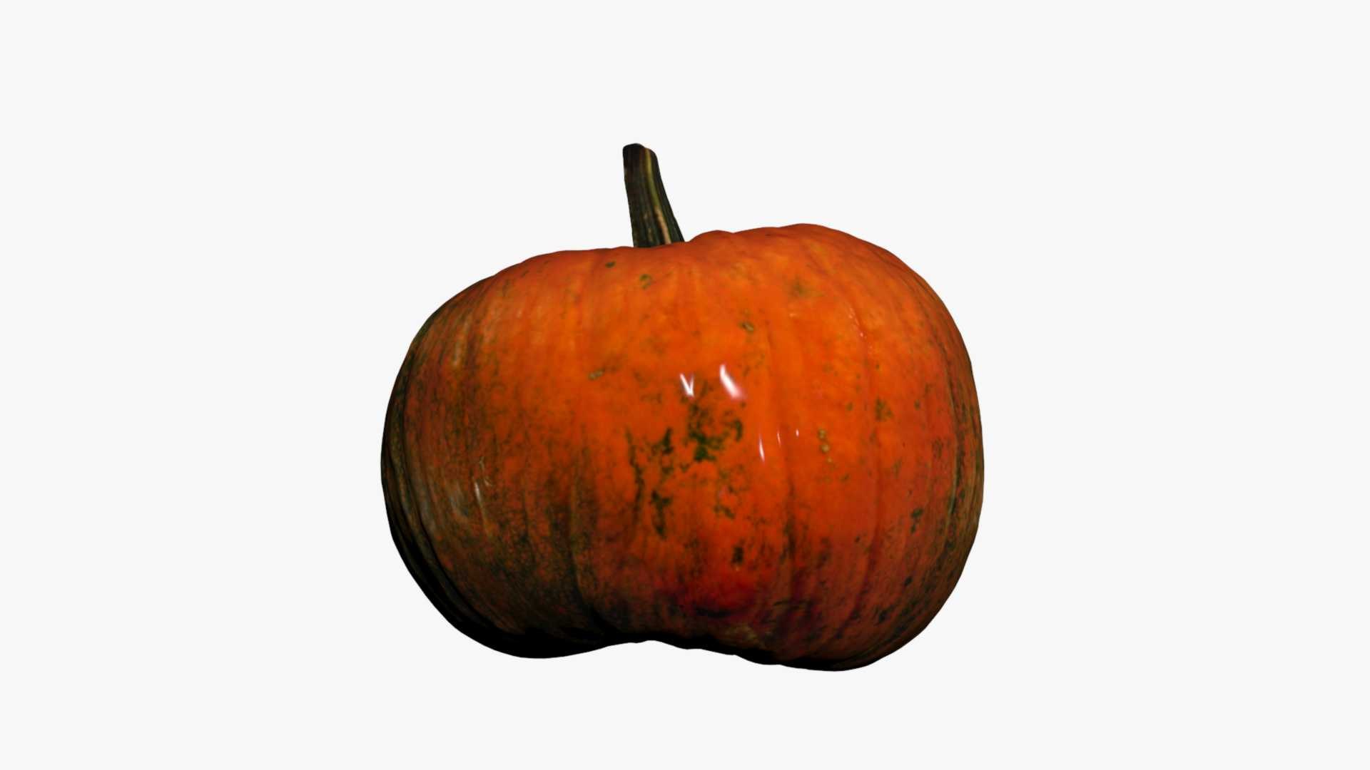 Pumpkin 3D Scan High Quality 3D model - TurboSquid 1749887