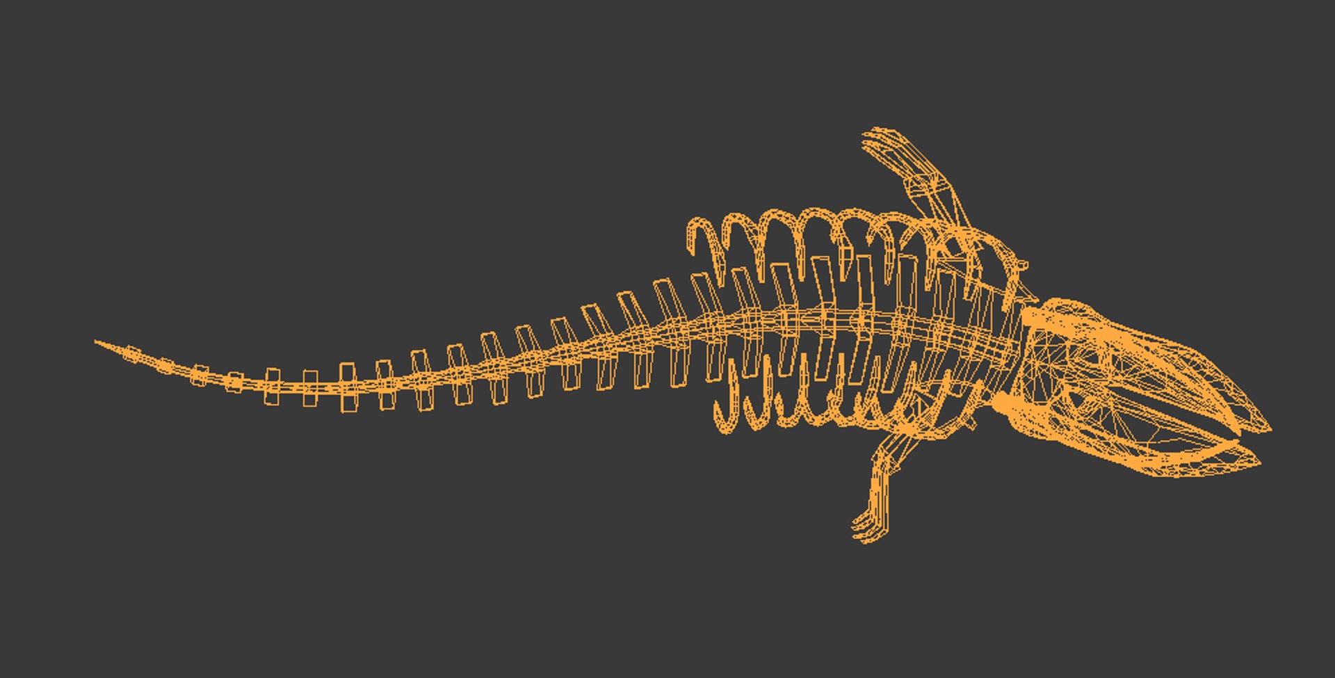 Skeleton Blue Whale 3D Model - TurboSquid 1701161