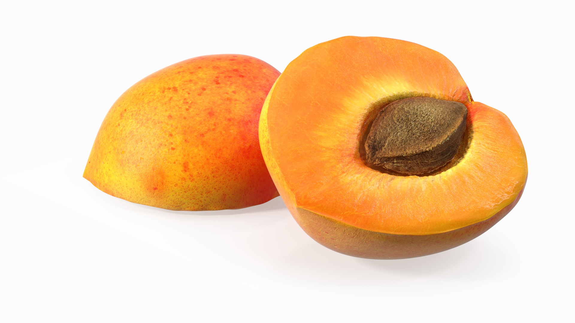 Half Of Apricot 3D Model - TurboSquid 2061230