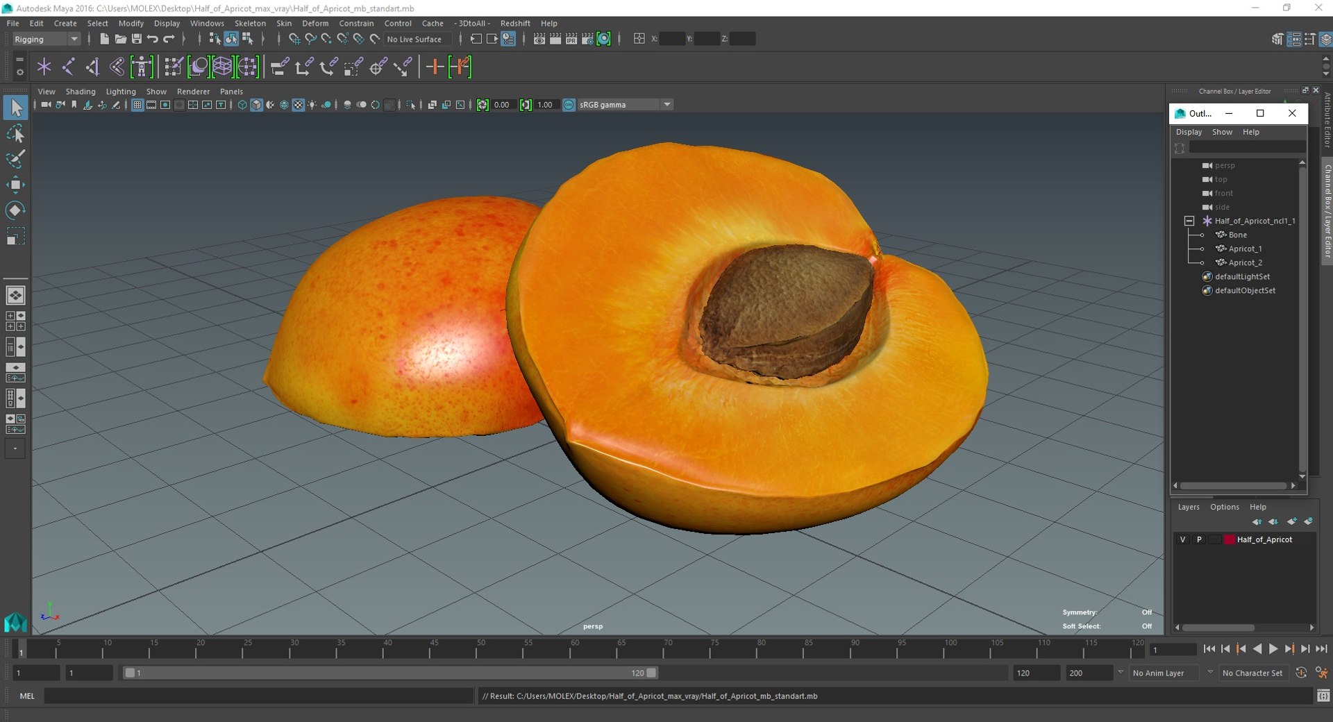Half of Apricot 3D model - TurboSquid 2061230