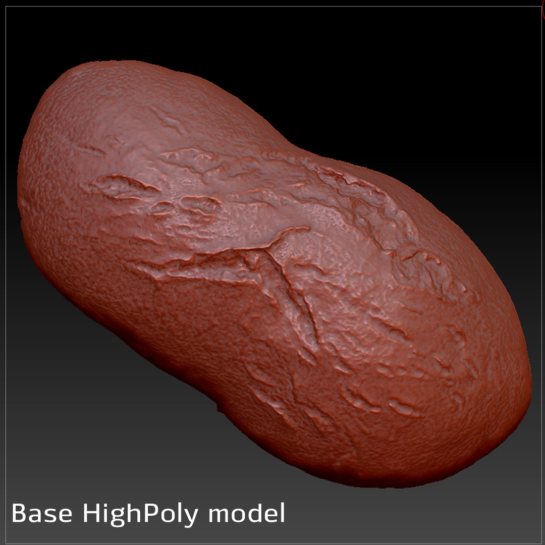 Wholemeal bread 3D model - TurboSquid 1362701