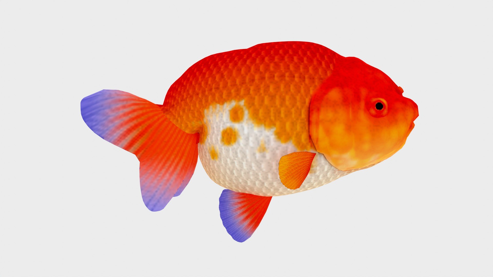 Red Ranchu Gold Fish 3D Model Low Poly 3D Model - TurboSquid 2242737