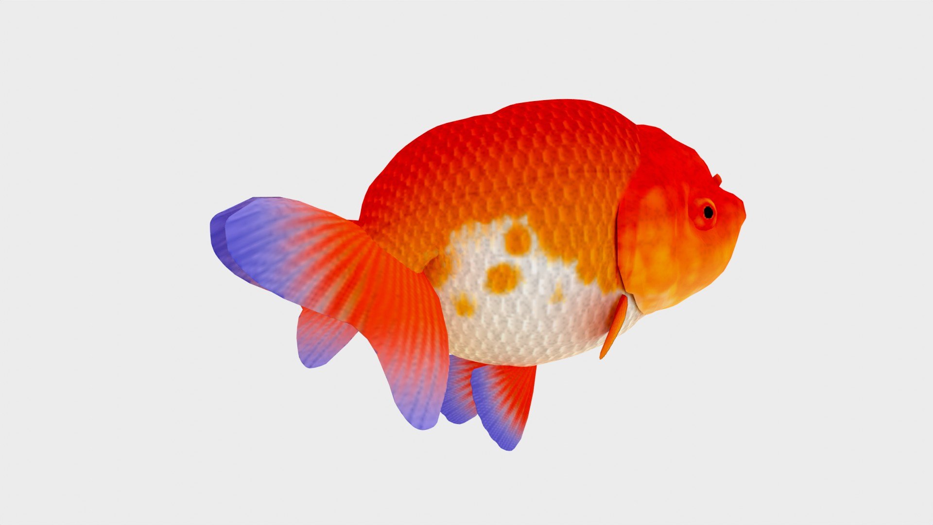 Red Ranchu Gold Fish 3D Model Low Poly 3D Model - TurboSquid 2242737