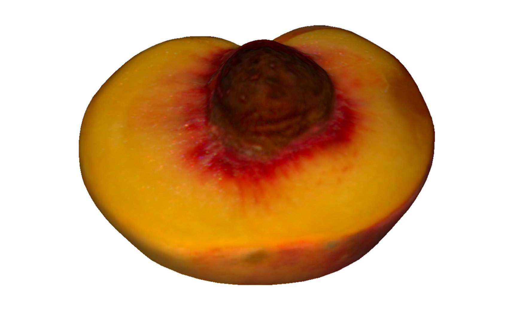 Half peach 3D - TurboSquid 1617511