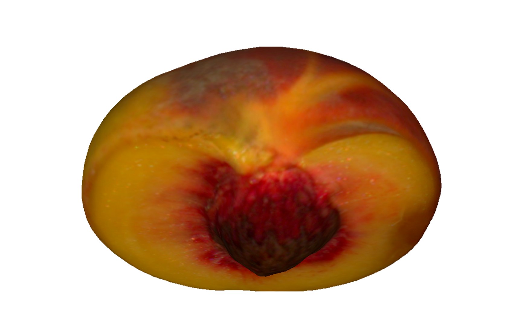 Half peach 3D - TurboSquid 1617511