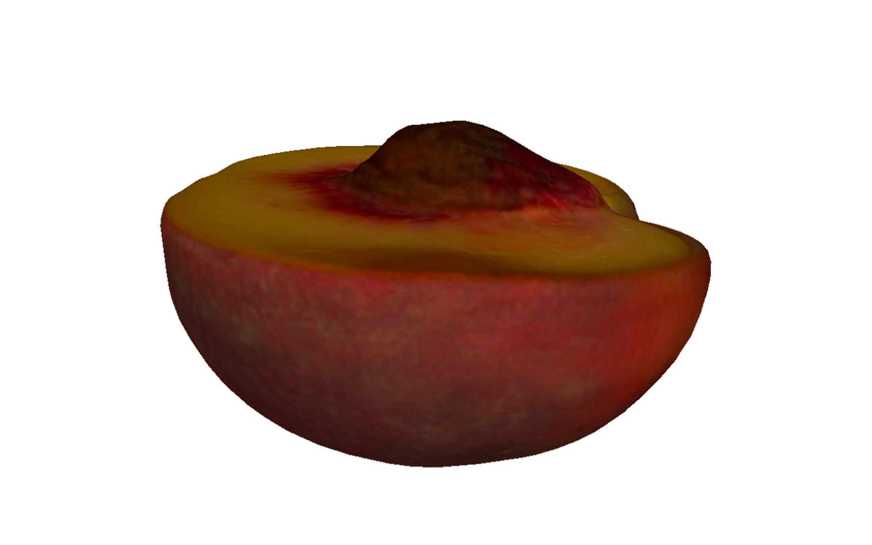 Half peach 3D - TurboSquid 1617511