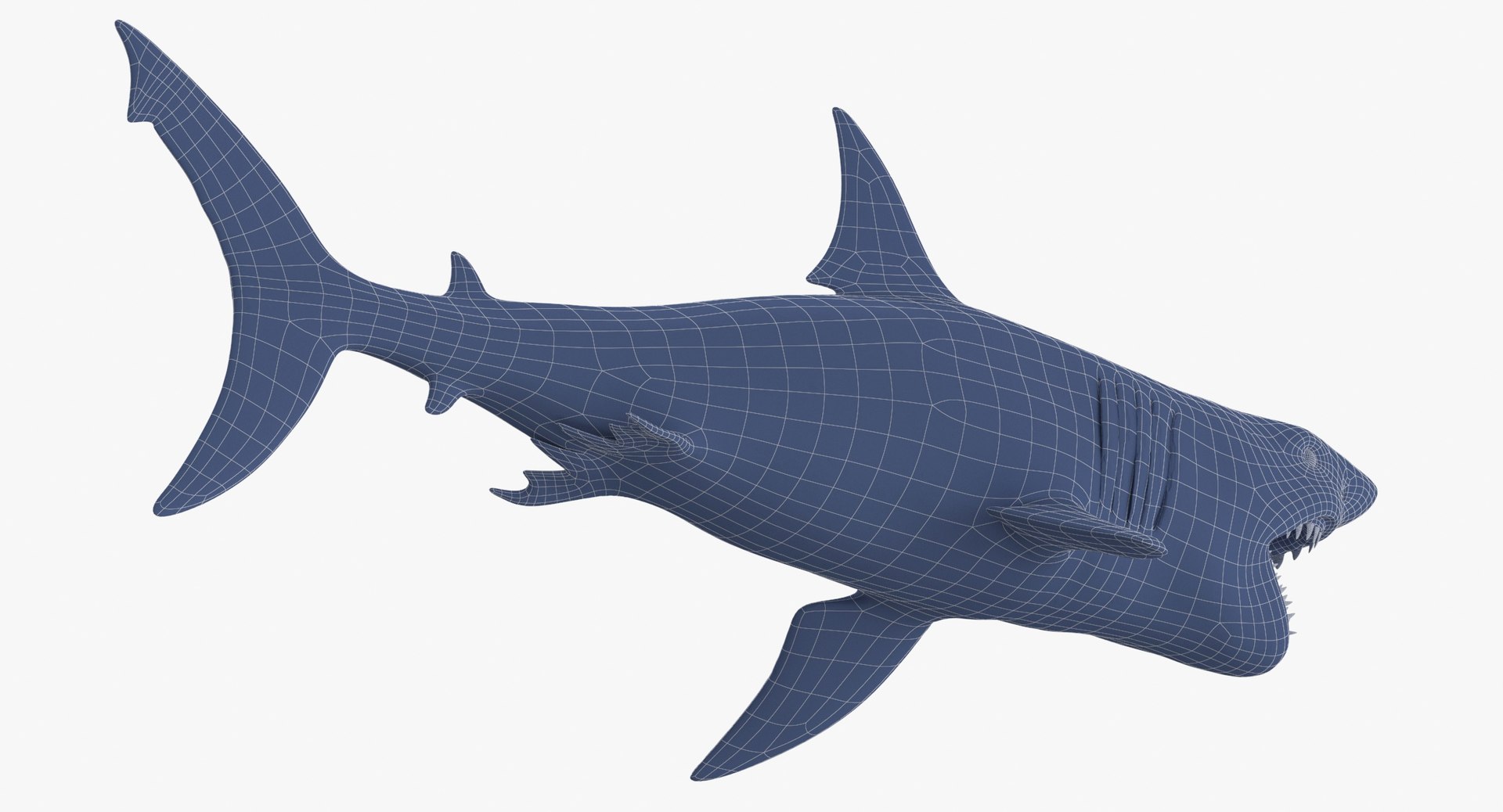 3D Great White Shark Poses Silver Collection 01 - 2 models - TurboSquid ...