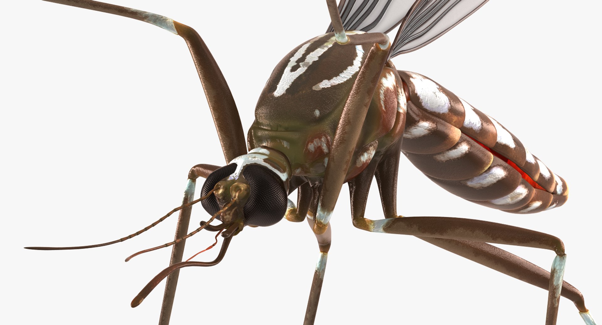 3D model rigged insect pests - TurboSquid 1620761