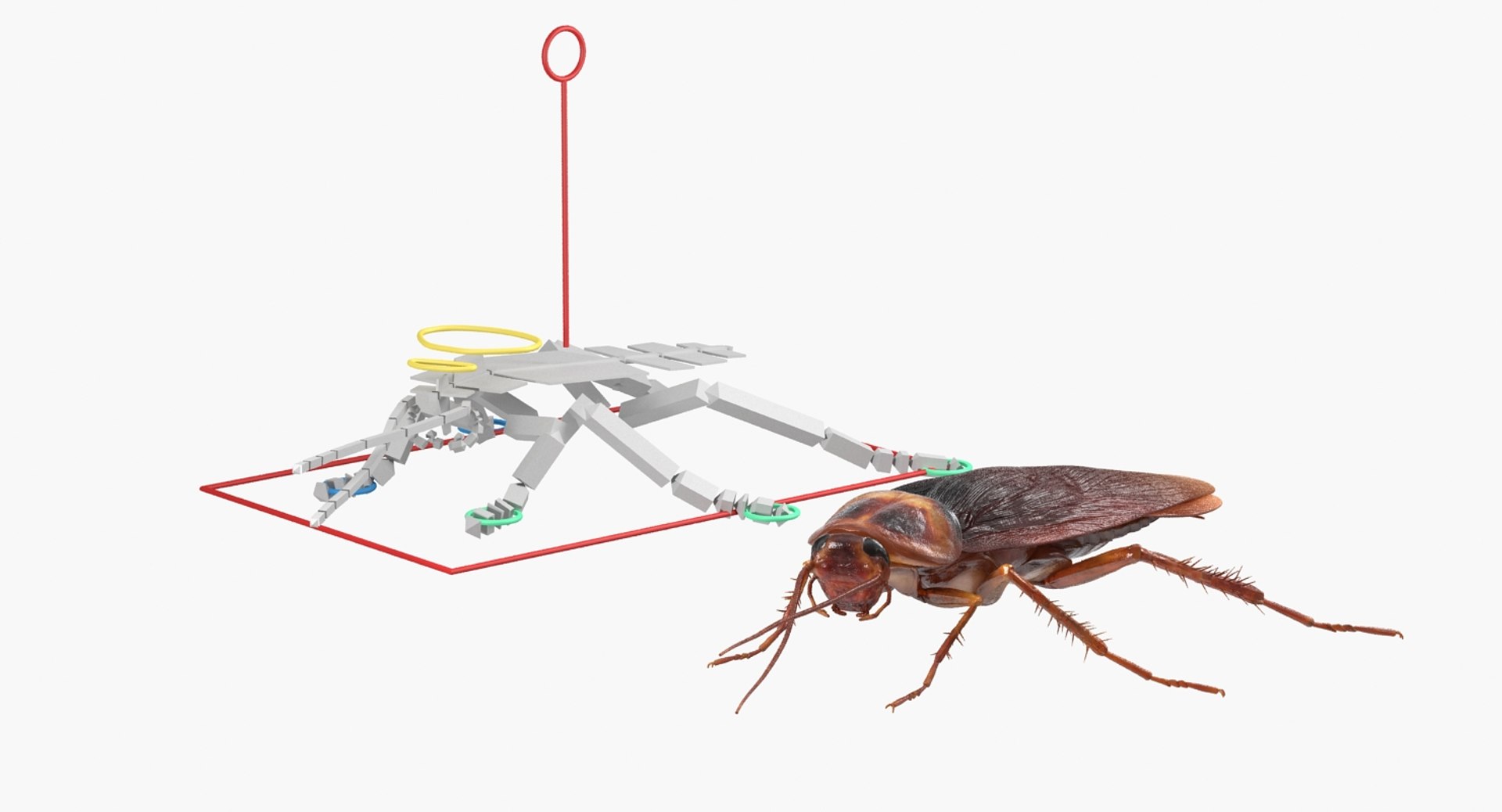 3D model rigged insect pests - TurboSquid 1620761