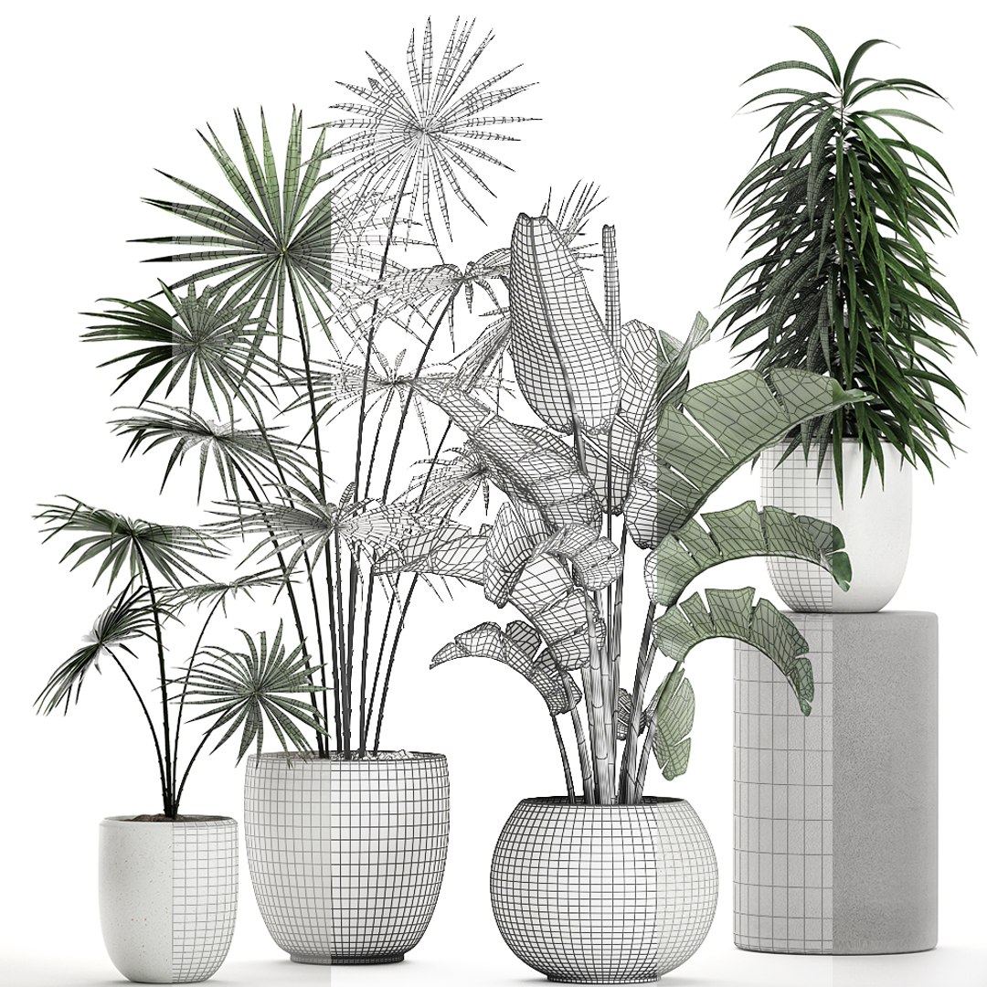 Plants White Potted Model - TurboSquid 1601840