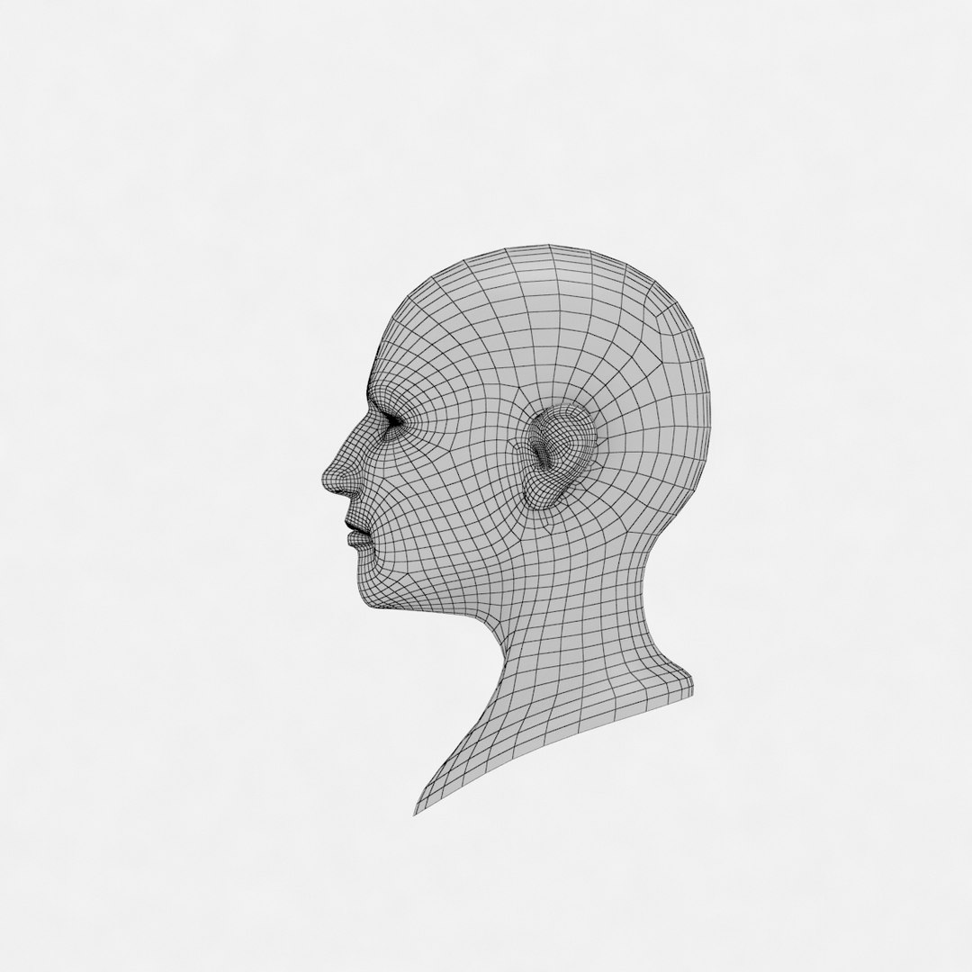 3d Head Base Mesh Model