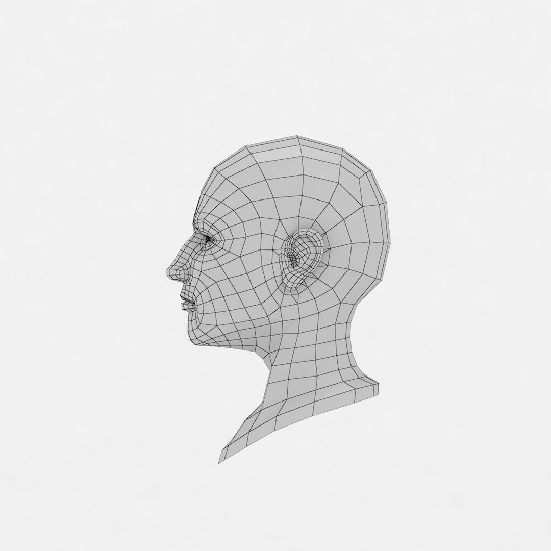 3d Head Base Mesh Model