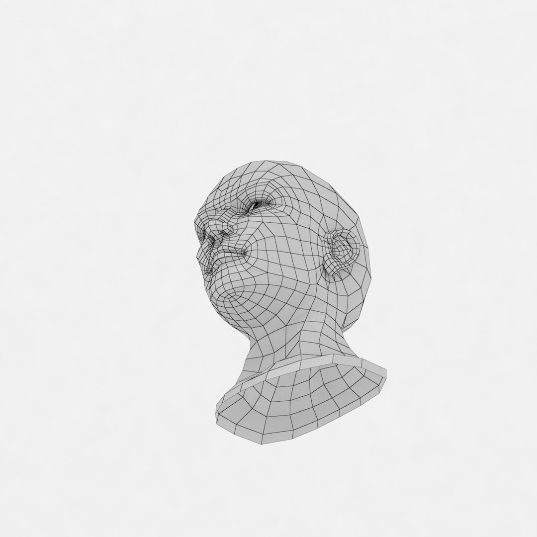 3d Head Base Mesh Model
