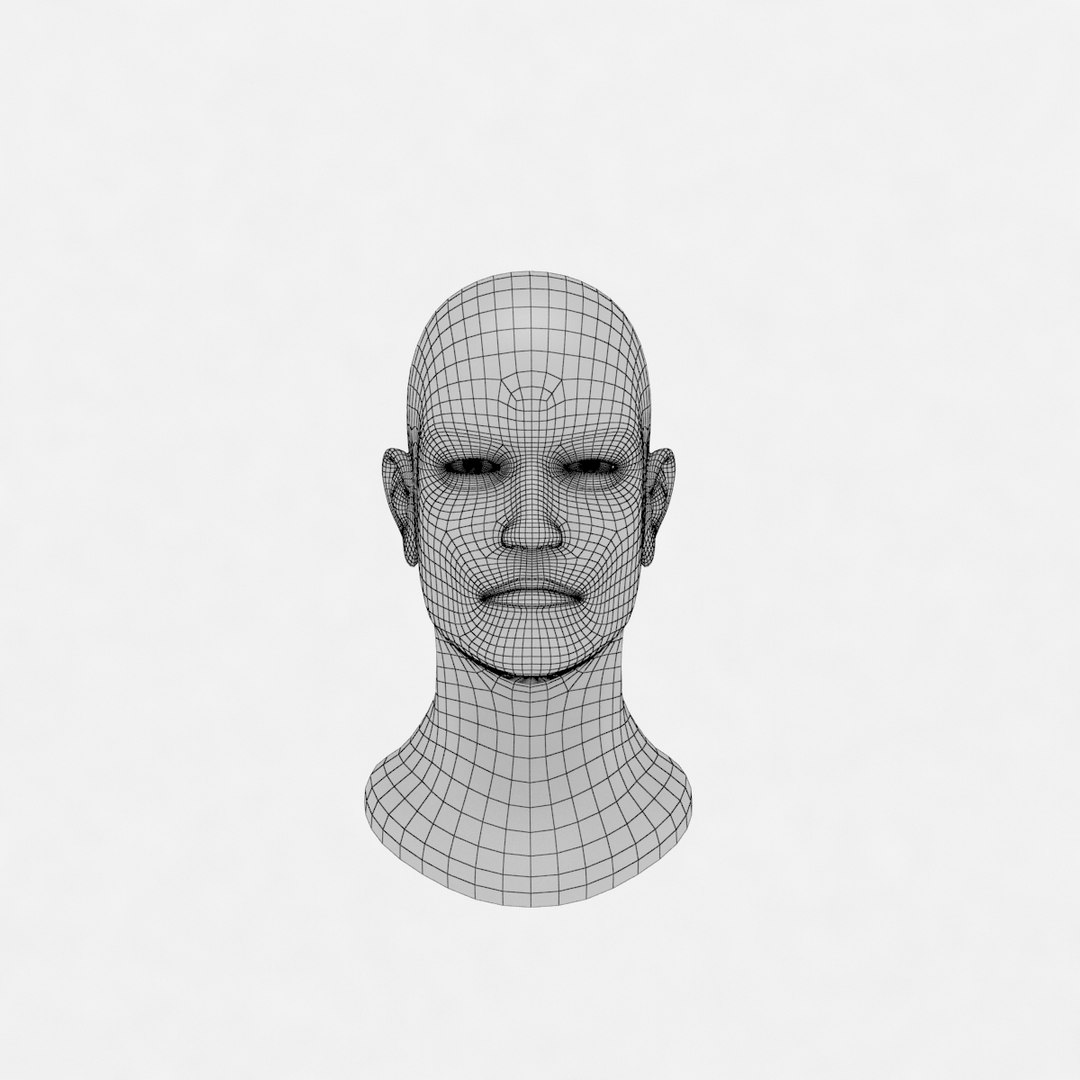 3d Head Base Mesh Model