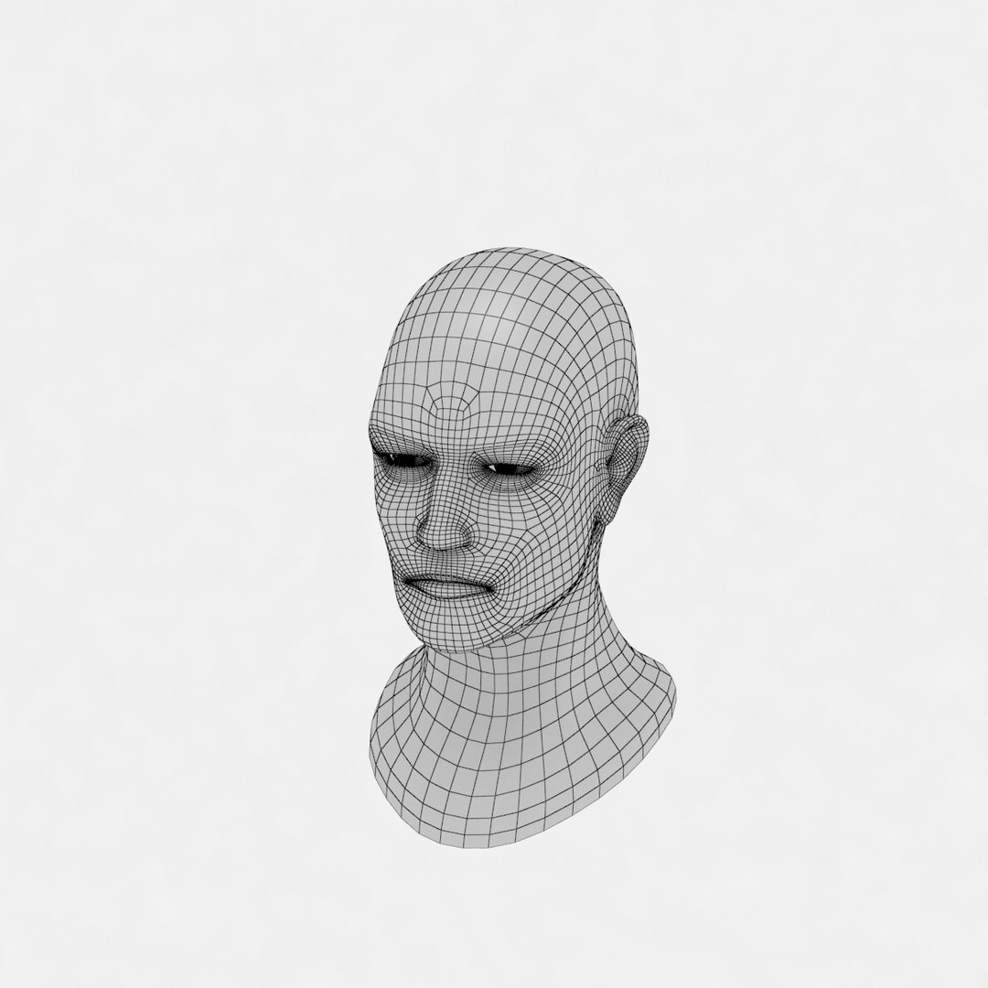 3d Head Base Mesh Model