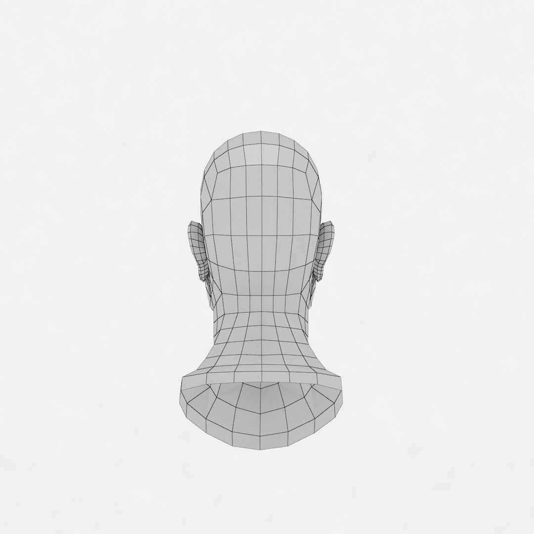 3d Head Base Mesh Model