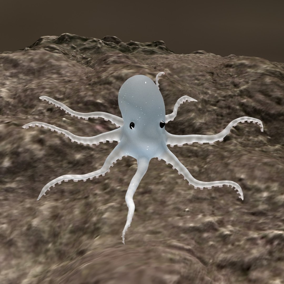 3D octopus model - TurboSquid 1174529