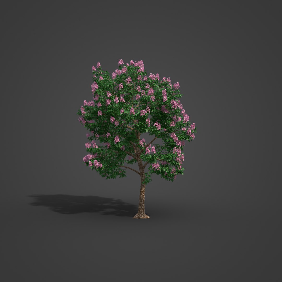 2021 PBR Rosy Trumpet Tree Collection - Tabebuia Rosea 3D Model ...
