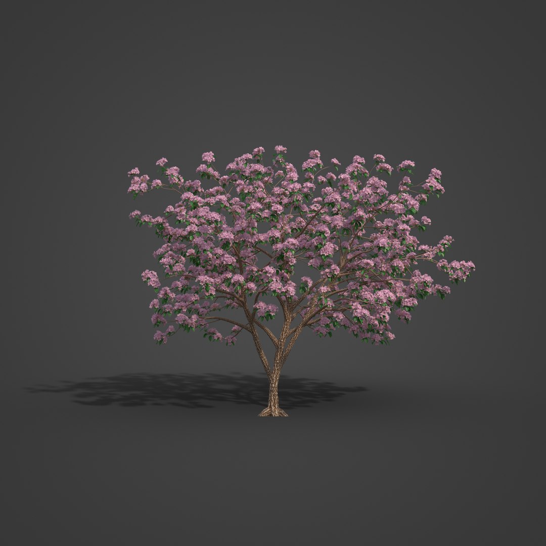 2021 PBR Rosy Trumpet Tree Collection - Tabebuia Rosea 3D Model ...