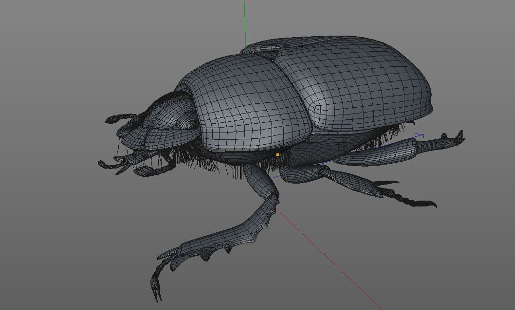 Bee Beetle 3D Model - TurboSquid 1537156