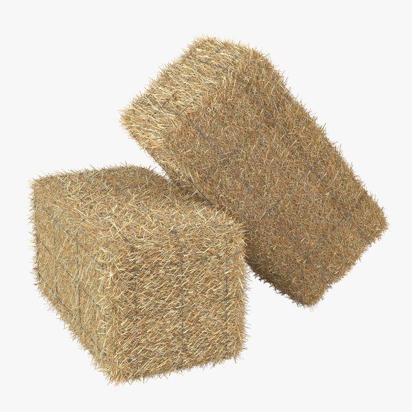 Free 3D Hay Models | TurboSquid