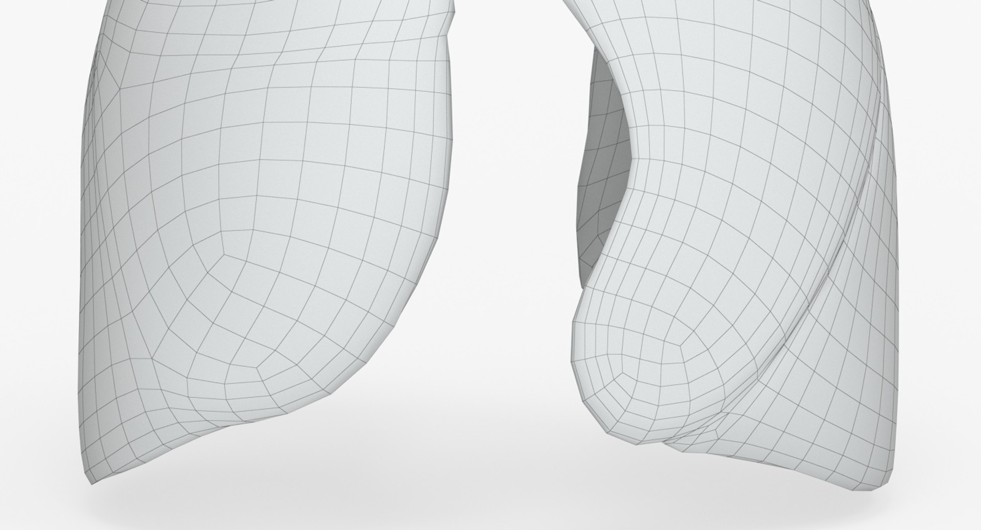 Lungs Anatomical Segments 3D Model - TurboSquid 1384492